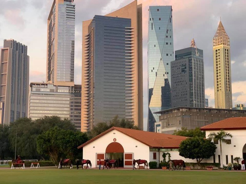 Zabeel Racing Stables in Dubai - Klassische Reitkunst