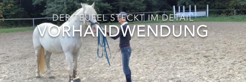 Digital Training Nugget Nr. 1 - Klassische Reitkunst